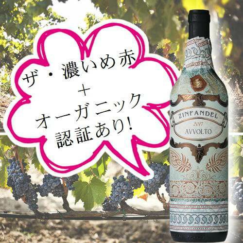 カーサ・ヴィニコラ ボッター カルロ &SPA/ジンファンデル・IGT・プーリア カーサ・ヴィニコラ ボッター カルロ &SPA/ジンファンデル・IGT・プーリア